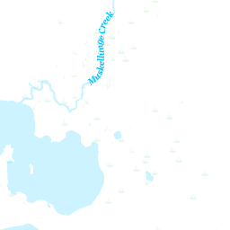 ArcGIS Web Application